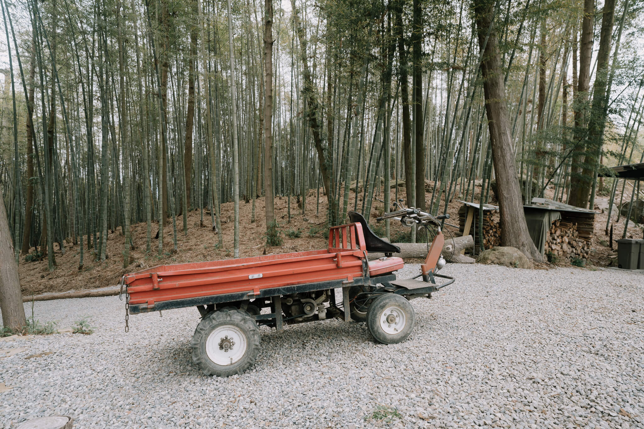 台中｜98p camping｜最神秘 最天然無破壞 高海拔森林營區 包場營區 近台中谷關東勢露營區-露營日記