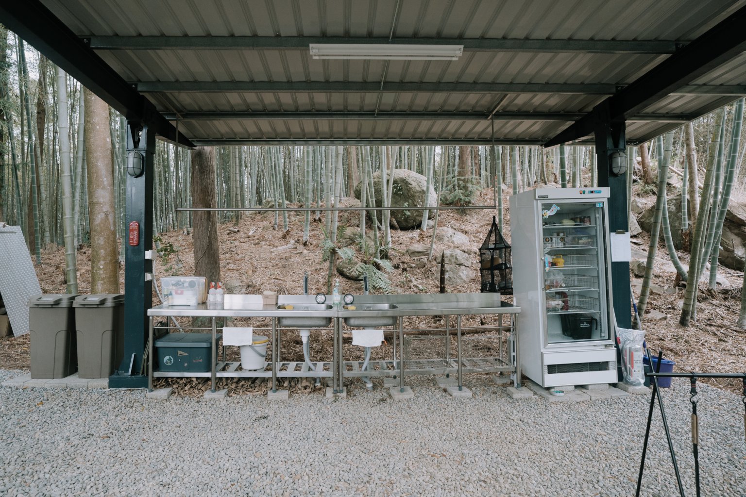 台中｜98p camping｜最神秘 最天然無破壞 高海拔森林營區 包場營區 近台中谷關東勢露營區-露營日記