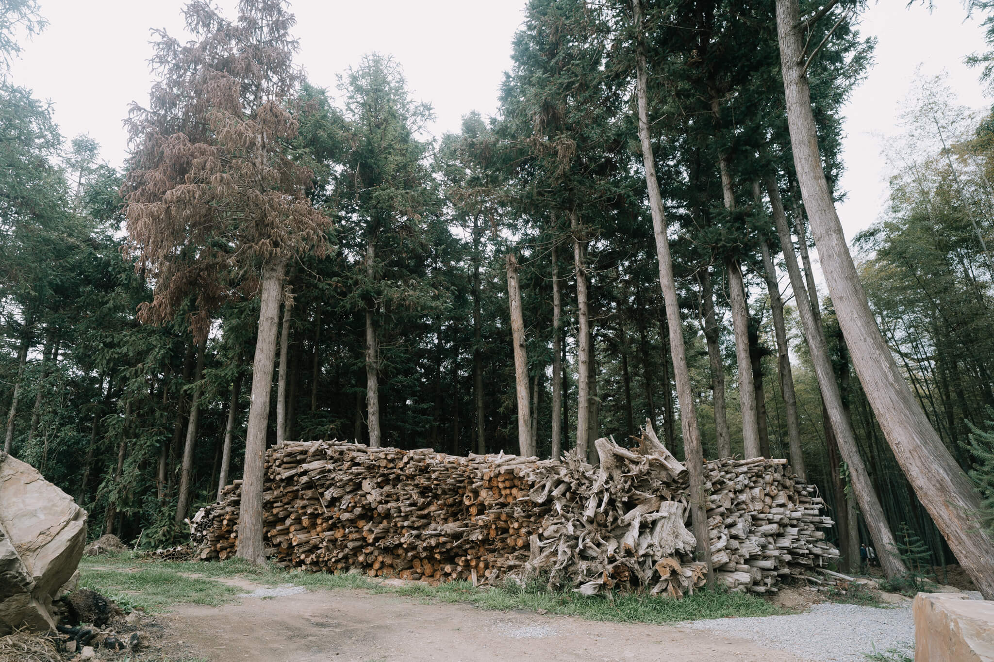 台中｜98p camping｜最神秘 最天然無破壞 高海拔森林營區 包場營區 近台中谷關東勢露營區-露營日記