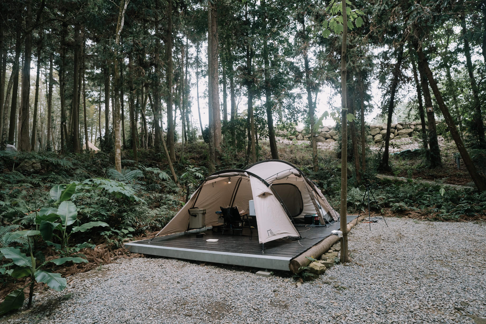 台中｜98p camping｜最神秘 最天然無破壞 高海拔森林營區 包場營區 近台中谷關東勢露營區-露營日記